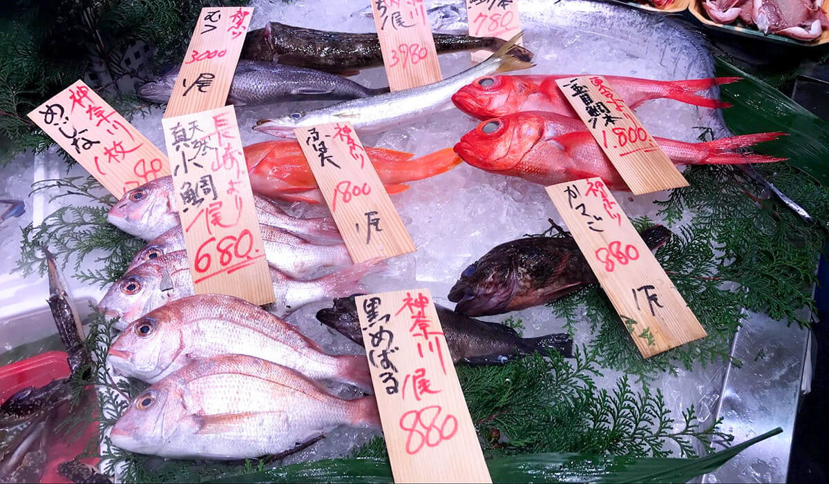 Welcome to Japan’s Wonderful Fish Culture ~When Is a fish in Season?~