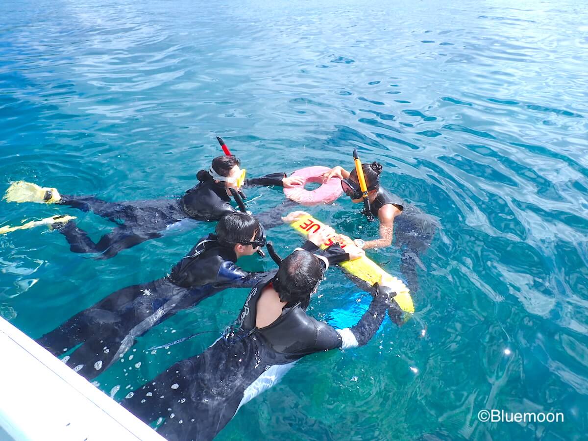 How To Dive into the BLUE