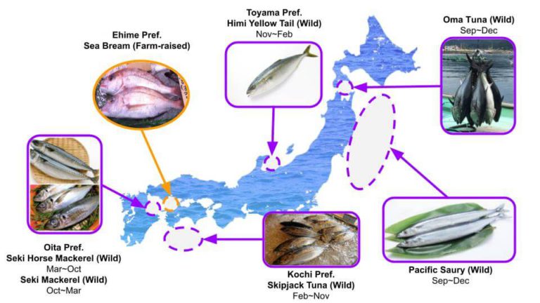 Welcome to Japan’s Wonderful Fish Culture ~Where are fish caught?~