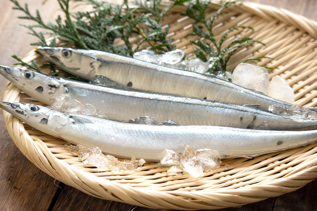 Welcome to Japan’s Wonderful Fish Culture ~Where are fish caught?~