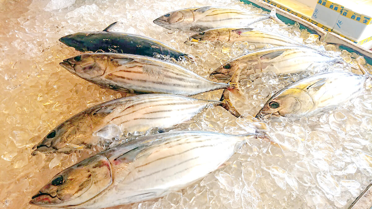 Welcome to Japan’s Wonderful Fish Culture ~Where are fish caught?~