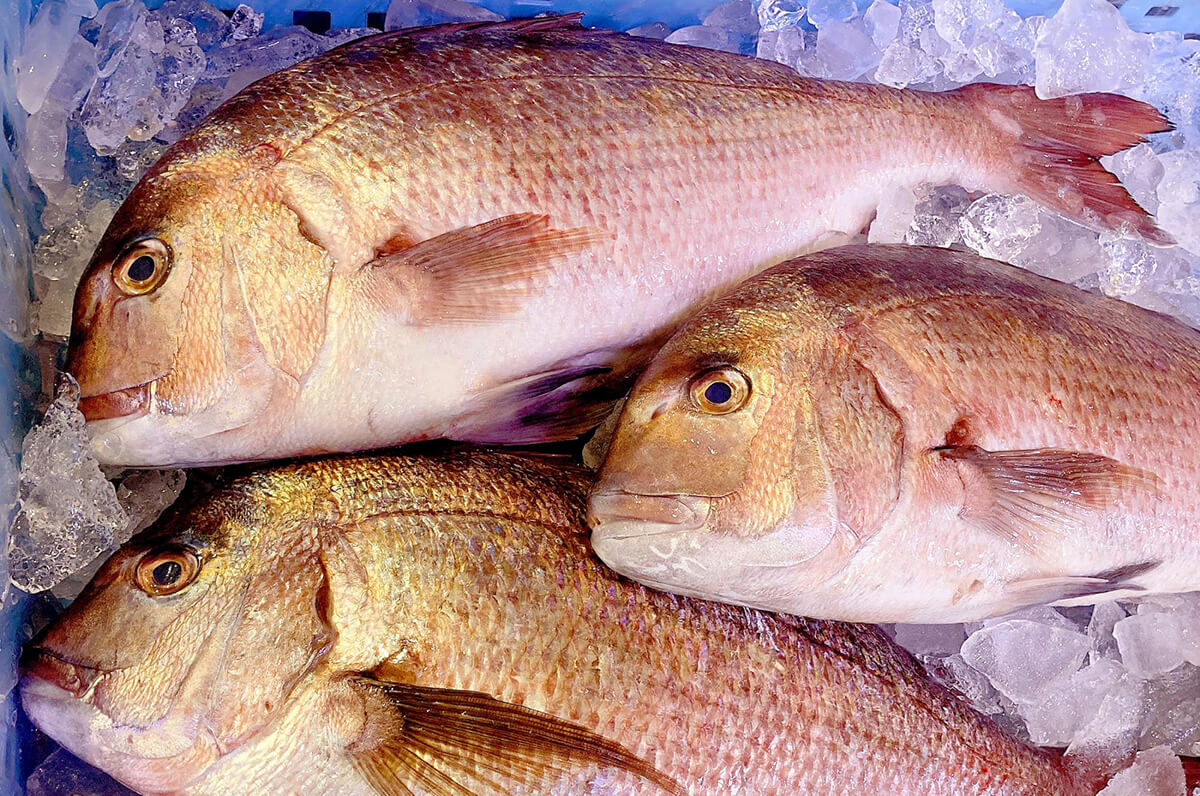 Welcome to Japan’s Wonderful Fish Culture ~Where are fish caught?~