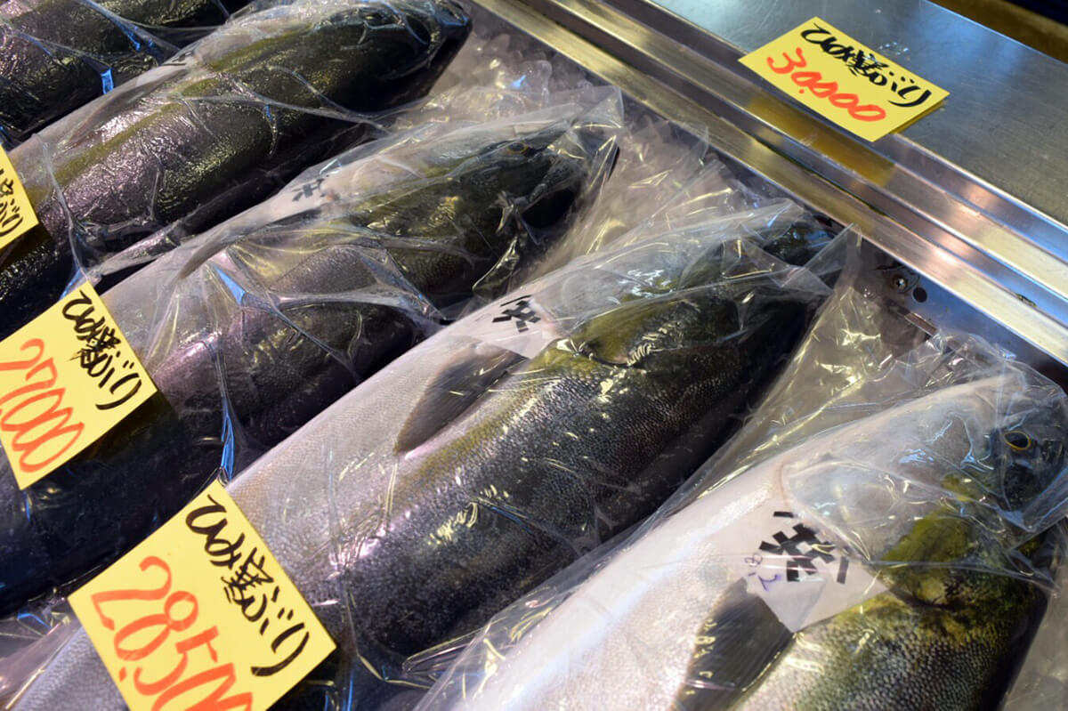 Welcome to Japan’s Wonderful Fish Culture ~Where are fish caught?~