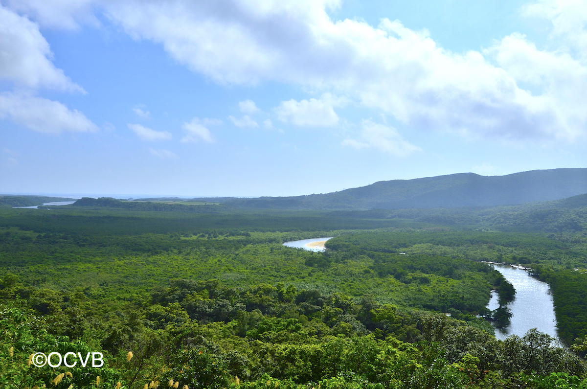 How to explore Forests in Okinawa