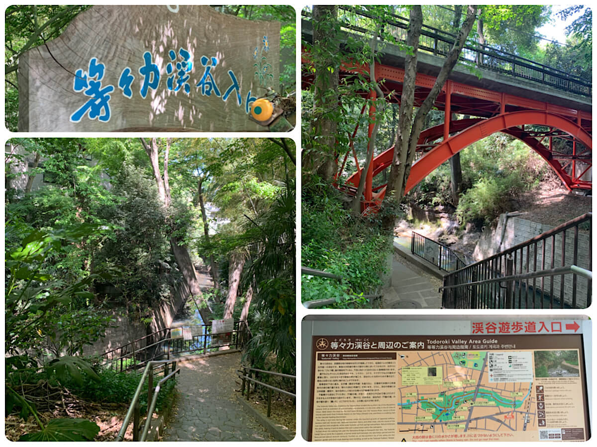 Todoroki Valley ― Wonderland in Setagaya, Tokyo
