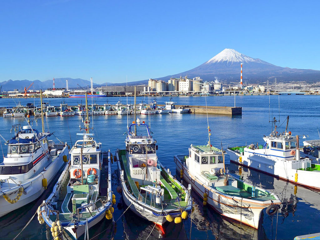 Welcome to Japan’s Wonderful Fish Culture ~Where are fish caught?~