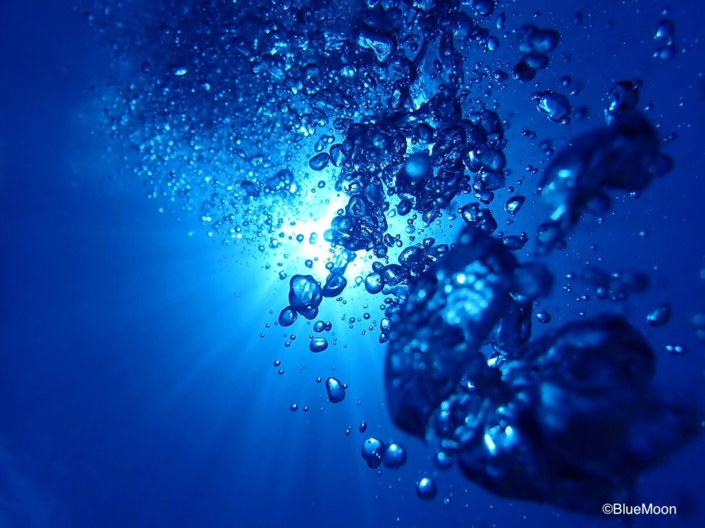 How To Dive Into the BLUE!! -＃2 How to Join Scuba Diving