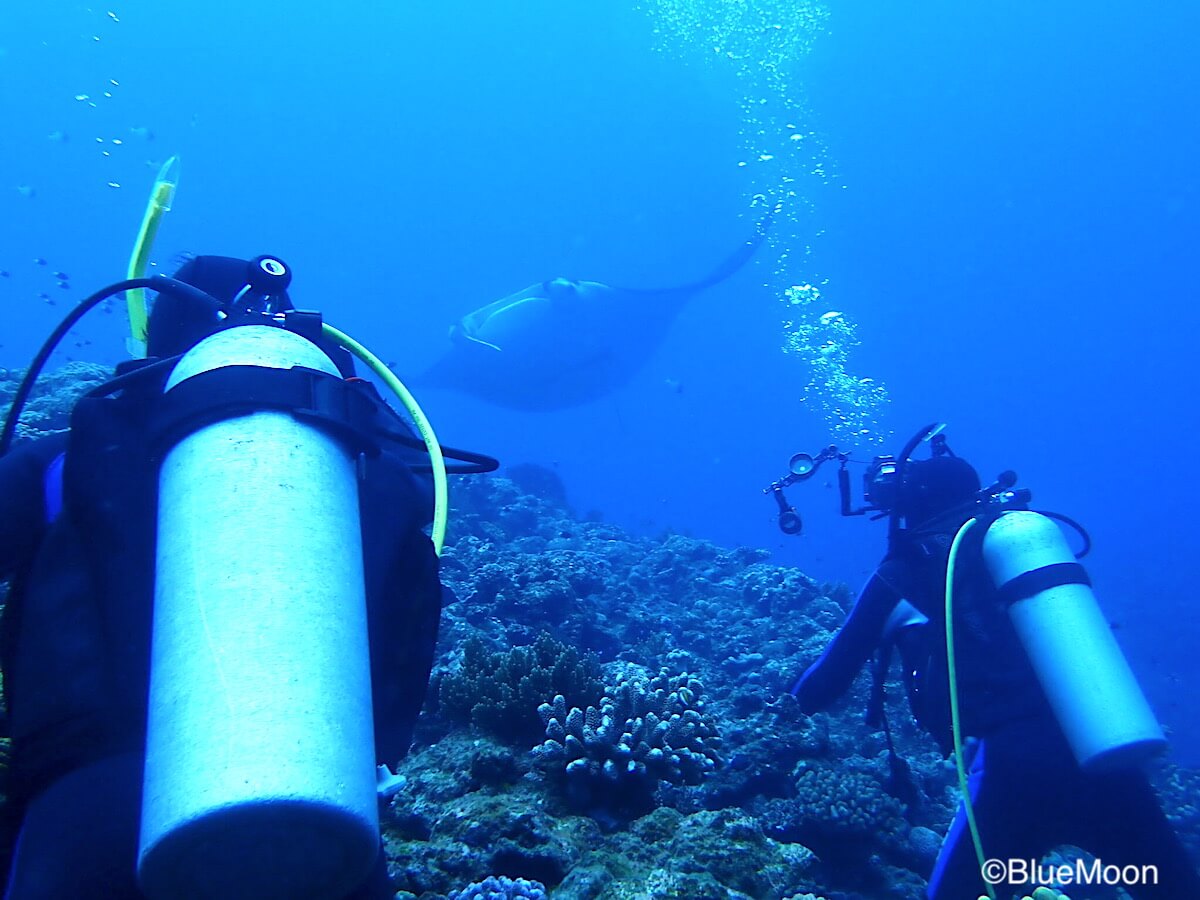 How To Dive Into the BLUE!! -＃2 How to Join Scuba Diving