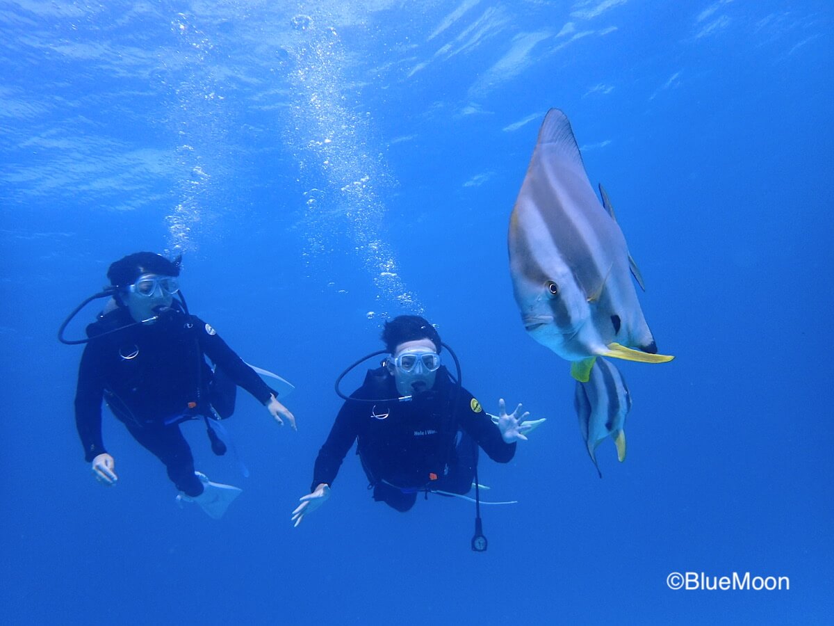How To Dive Into the BLUE!! -＃2 How to Join Scuba Diving