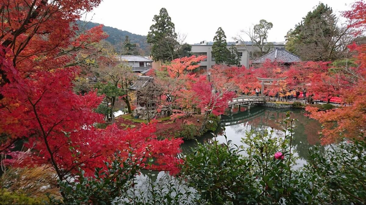 How to Enjoy the Fall in Kyoto