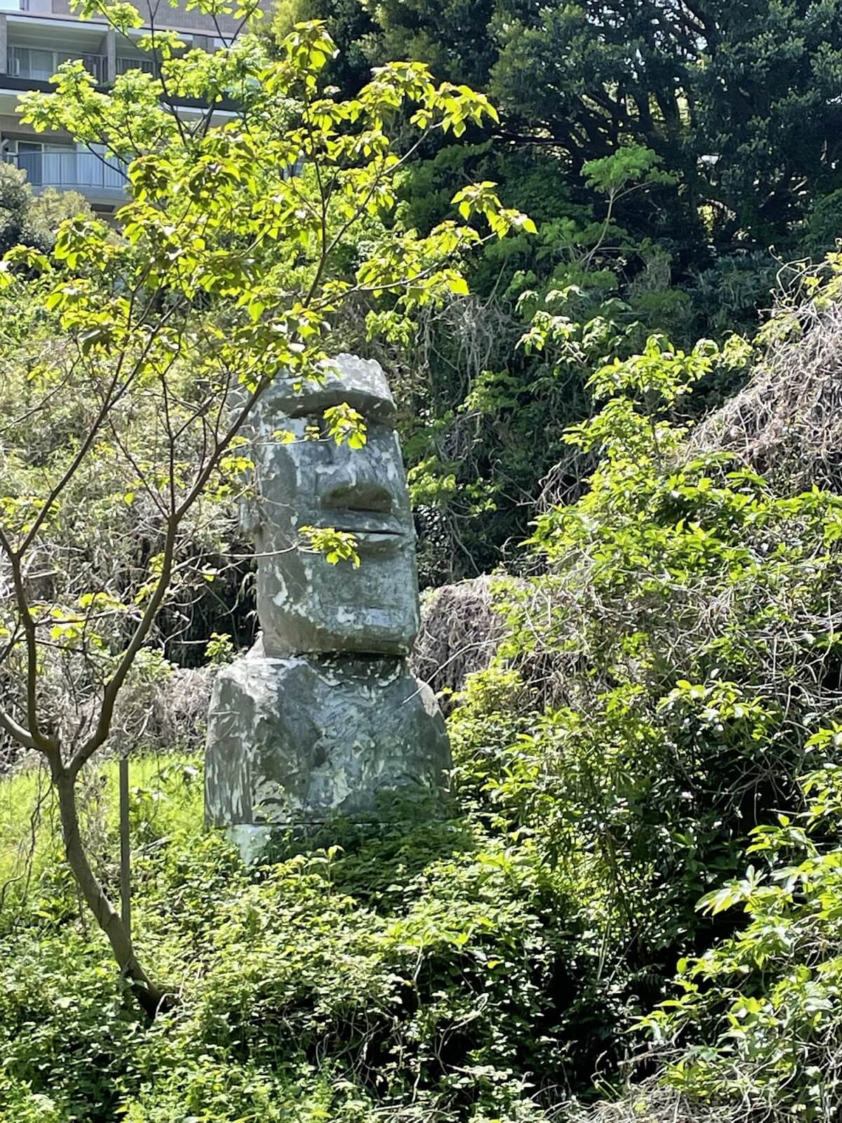 Manazuru is a small town for living a quiet life with sea, forest, and ...