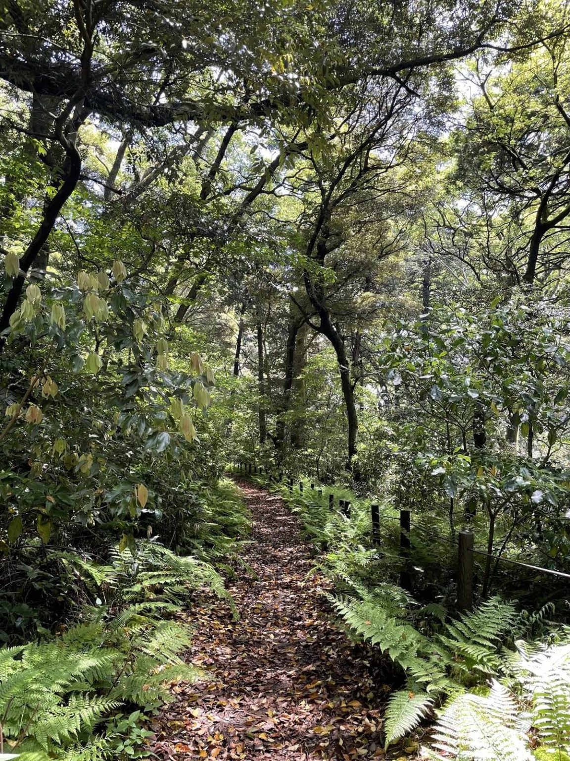 Manazuru is a small town for living a quiet life with sea, forest, and ...