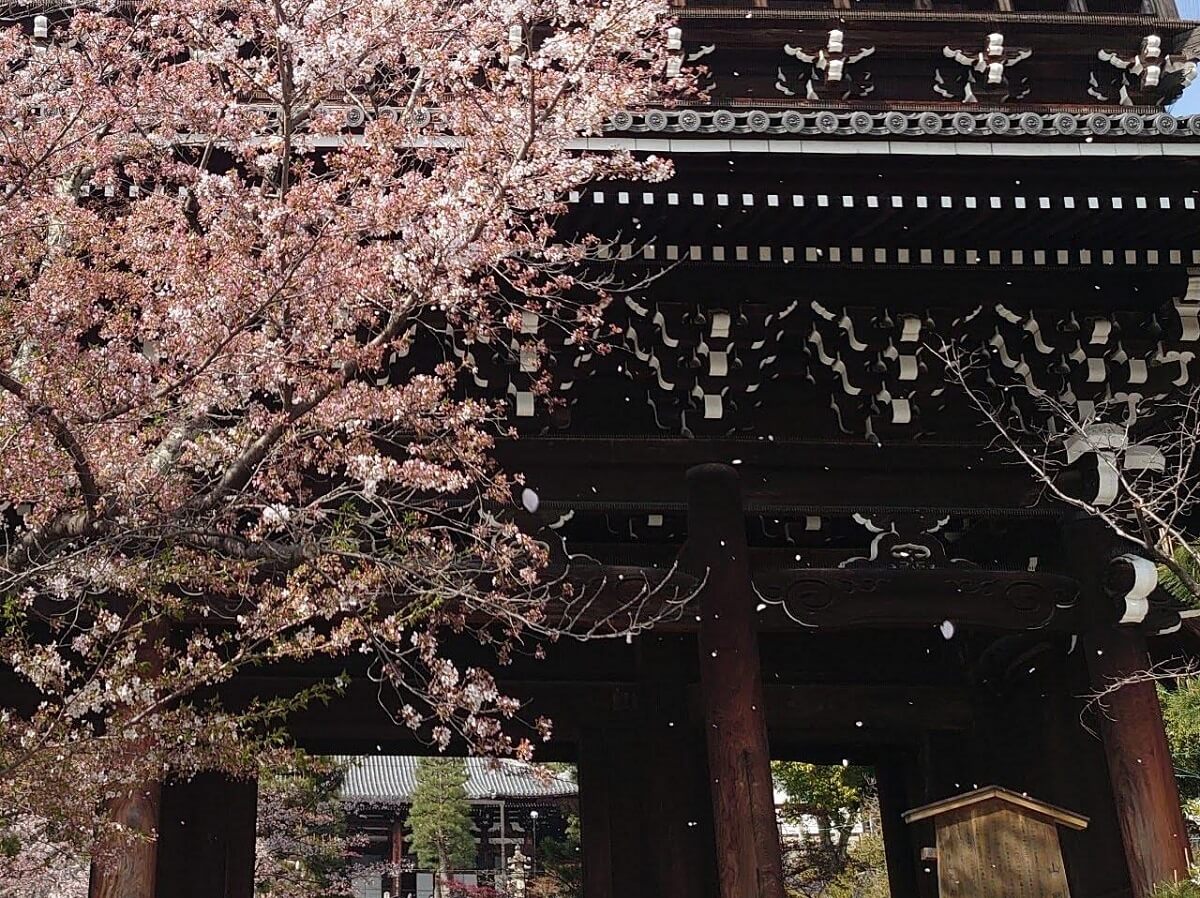 Japanese seasonal beautiful words ~Spring~