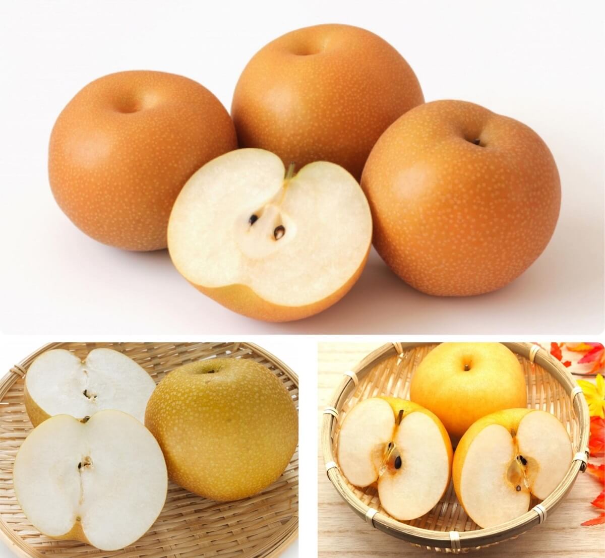 Fruit Kingdom of Japan Part 2: From Autumn to Winter