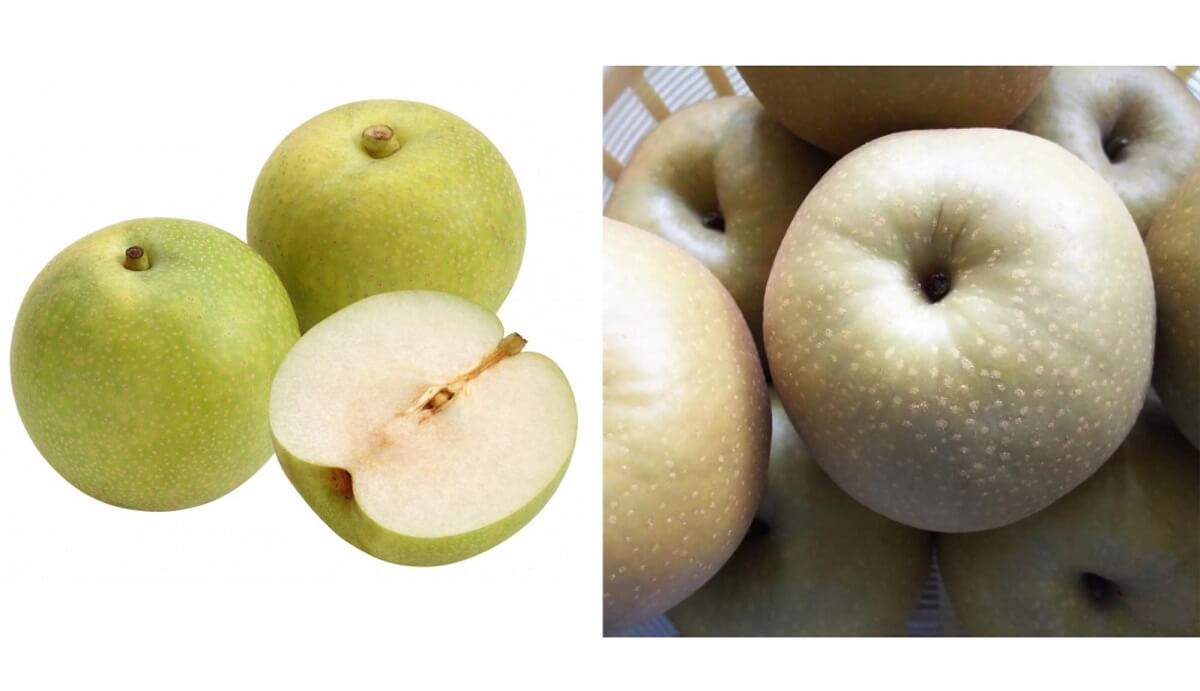 Fruit Kingdom of Japan Part 2: From Autumn to Winter