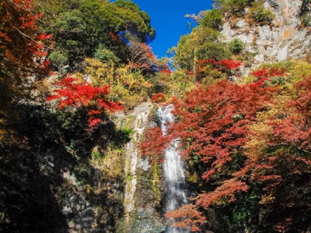 Minoh Park (箕面公園)