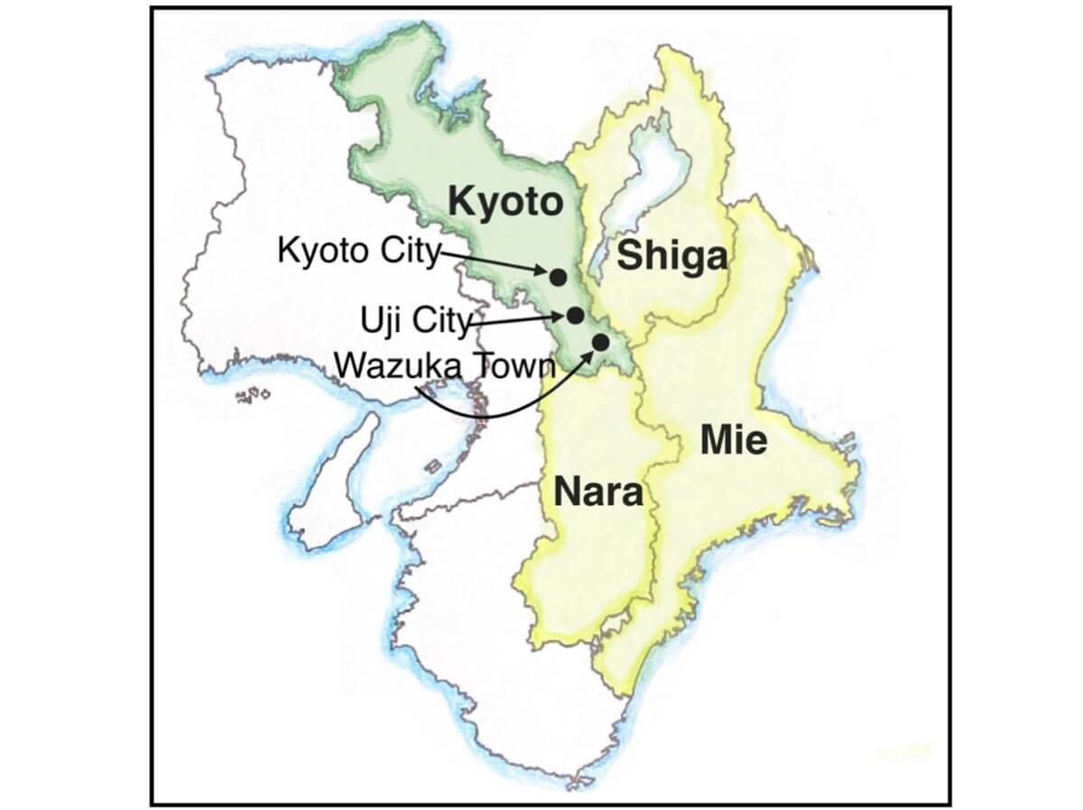 Discover Teatopia Wazuka (和束), the Hidden Gem of Kyoto!